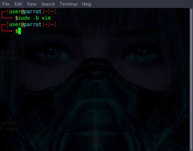 How to Use Sudo Command in Linux (with Examples) | Beebom