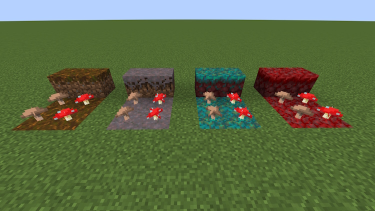 How to Grow Mushrooms in Minecraft | Beebom
