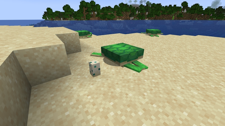 How to Hatch Turtle Eggs in Minecraft | Beebom