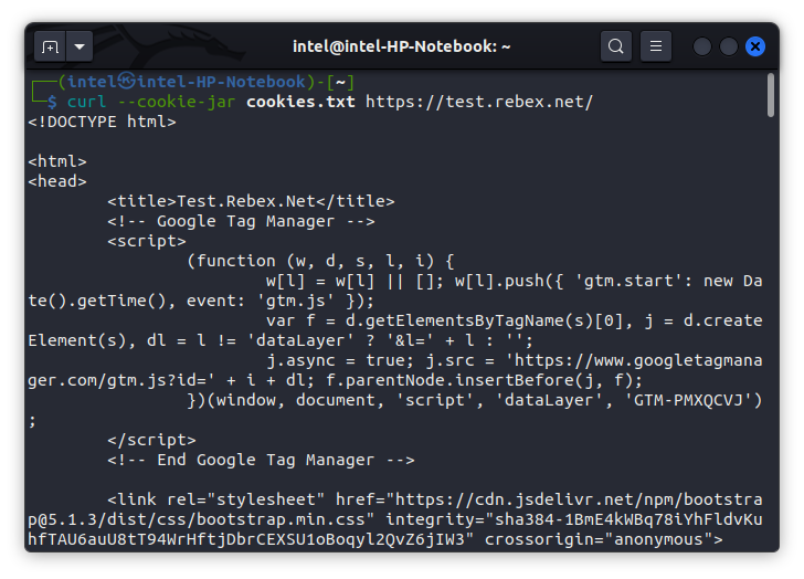 What Is Curl Command In Linux And How To Use It Beebom