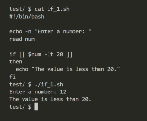 Bash If, Elif, and If Else Explained with Examples | Beebom