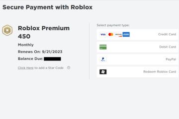 Roblox Premium: What is It, Benefits, Cost & How to Get | Beebom
