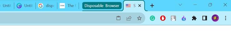 I Recently Started Using Disposable Browsers & Here's Why You Should ...