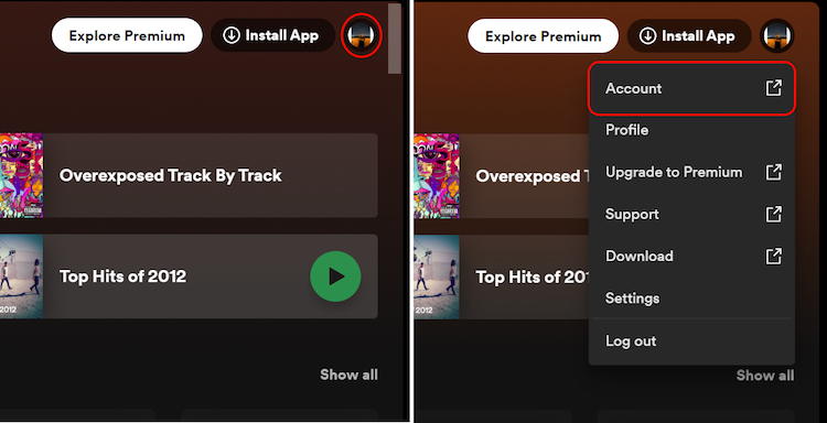 Spotify Web Player Not Working? Try these 8 Fixes! | Beebom