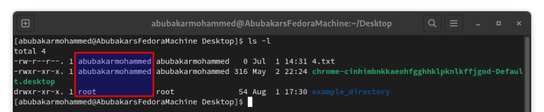How to Change Owner of a Directory in Linux | Beebom
