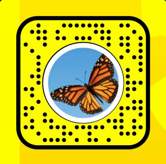 How to Unlock the Butterflies Lens on Snapchat (3 Ways) | Beebom