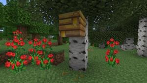 How to Get Honey from a Beehive in Minecraft | Beebom