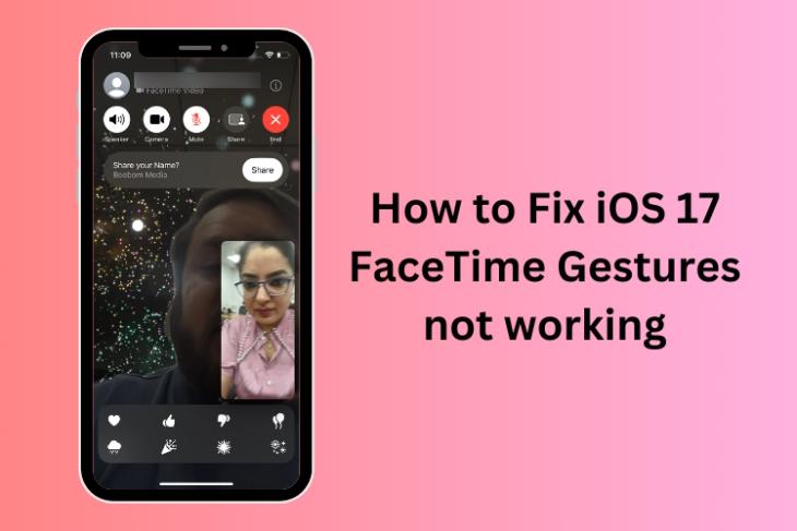 How to Use Effects in FaceTime on iOS 17 | Beebom