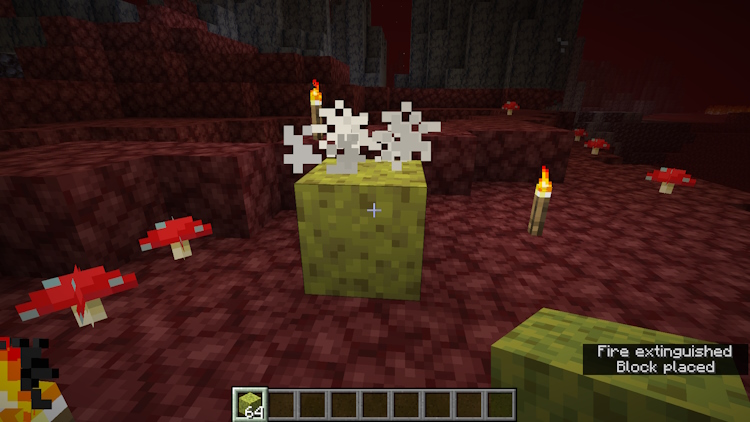 How to Get Sponges in Minecraft | Beebom