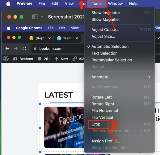 How to Crop a Screenshot on Mac | Beebom