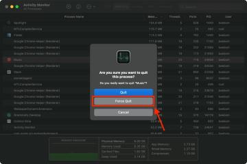 How to Open and Use Task Manager on Mac (2024) | Beebom