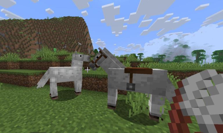 5 Best Uses of Shears in Minecraft | Beebom