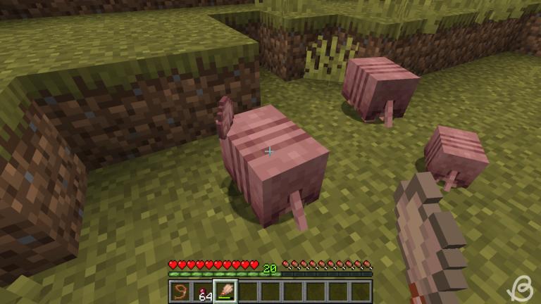 Minecraft Armadillo Guide: Spawn, Food, Breeding, and More | Beebom