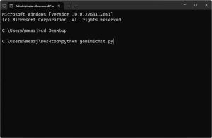 How to Access and Use Google Gemini API Key (with Examples) | Beebom