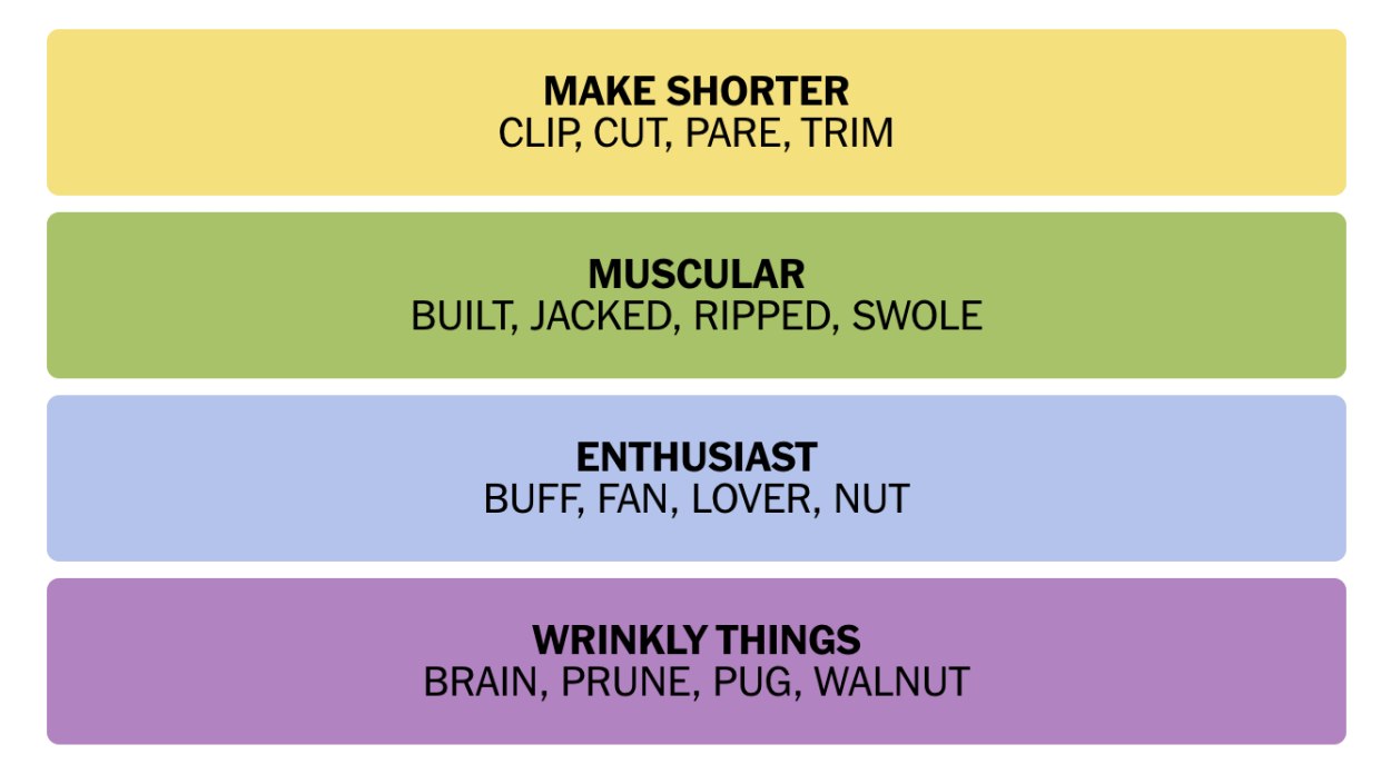 NYT Connections Hints and Answers for February 1, 2024 | Beebom