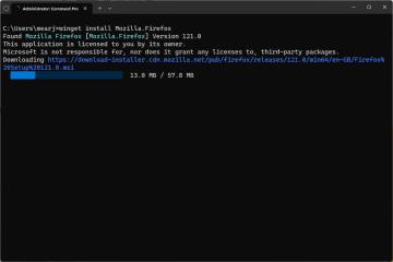 How to Search for Apps in Windows Package Manager | Beebom