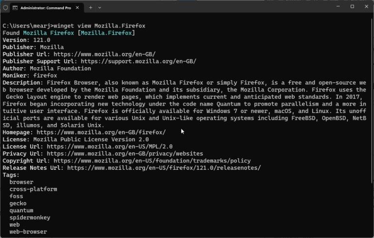 How to Search for Apps in Windows Package Manager | Beebom