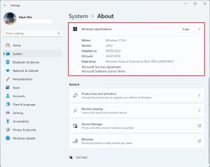 How to Check the Windows Version in Windows 11 and 10 | Beebom