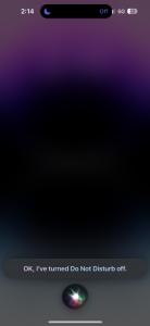 How to Turn Off Focus on iPhone [2025 Guide] | Beebom