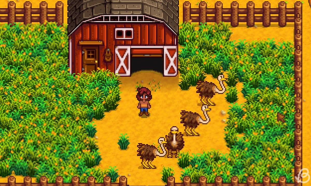 Stardew Valley Barn Guide: All You Need to Know | Beebom
