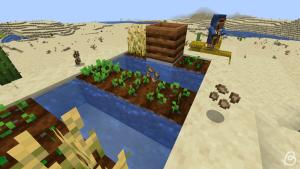 How to Get Beetroot Seeds in Minecraft | Beebom