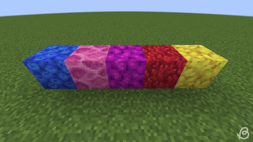 Minecraft Coral Reef: Everything You Need to Know | Beebom