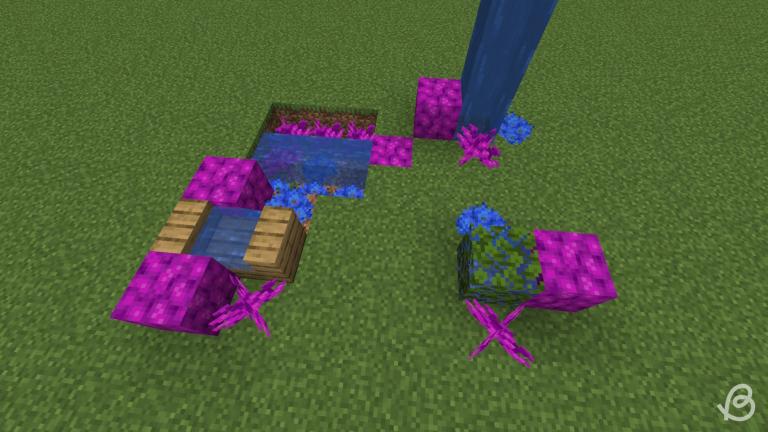 Minecraft Coral Reef: Everything You Need to Know | Beebom