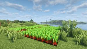 How to Get Beetroot Seeds in Minecraft | Beebom