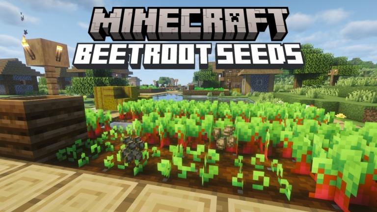 How to Get Beetroot Seeds in Minecraft | Beebom