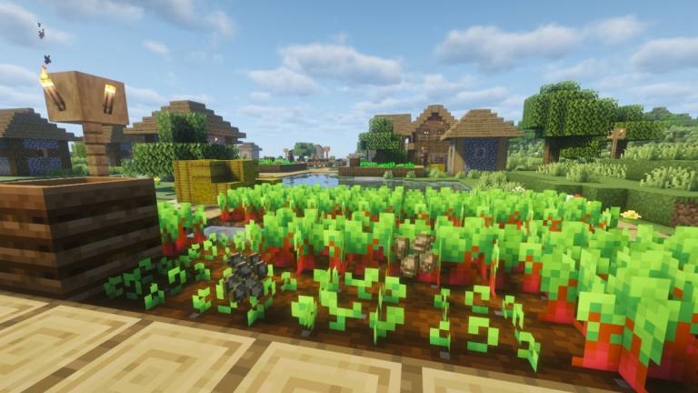How to Get Beetroot Seeds in Minecraft | Beebom