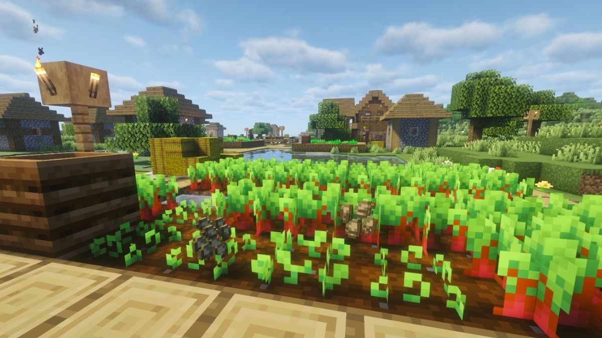 How to Get Beetroot Seeds in Minecraft | Beebom