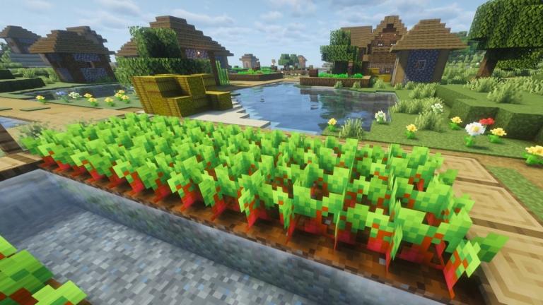 How to Get Beetroot Seeds in Minecraft | Beebom