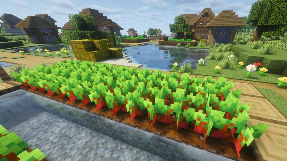 How to Get Beetroot Seeds in Minecraft | Beebom