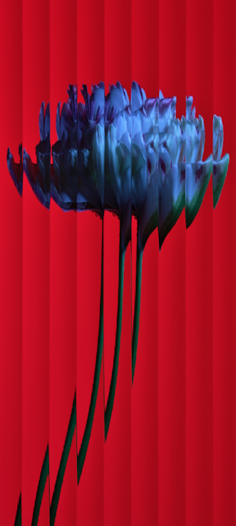 Download Nothing Phone 2a Official Wallpapers Here | Beebom