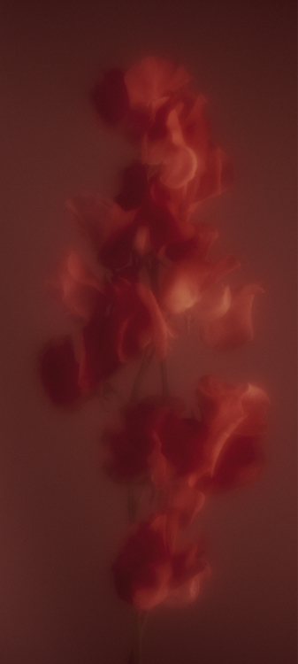 Download Nothing Phone 2a Official Wallpapers Here | Beebom