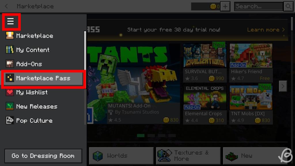 What Is the Minecraft Marketplace Pass and Should You Buy It? | Beebom