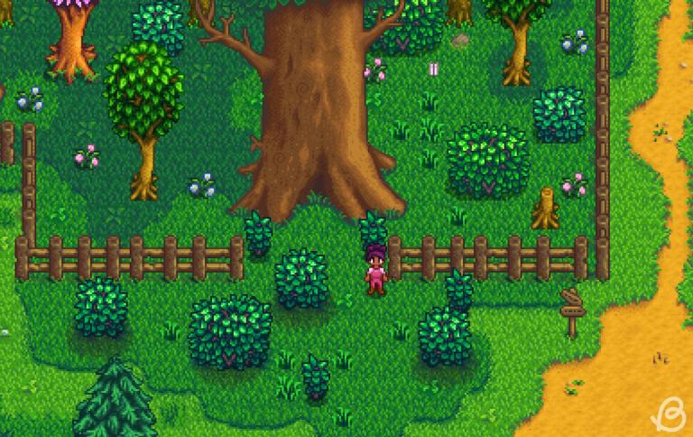 Stardew Valley 1.6: The Giant Stump and Raccoon Quest Guide | Beebom