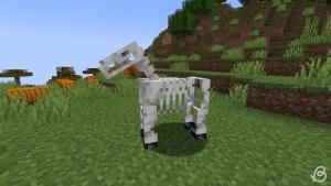 7 Rarest Mobs in Minecraft and How to Get Them | Beebom
