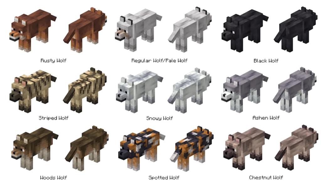 Minecraft Snapshot 24w10a Adds 8 New Wolf Variants | Beebom