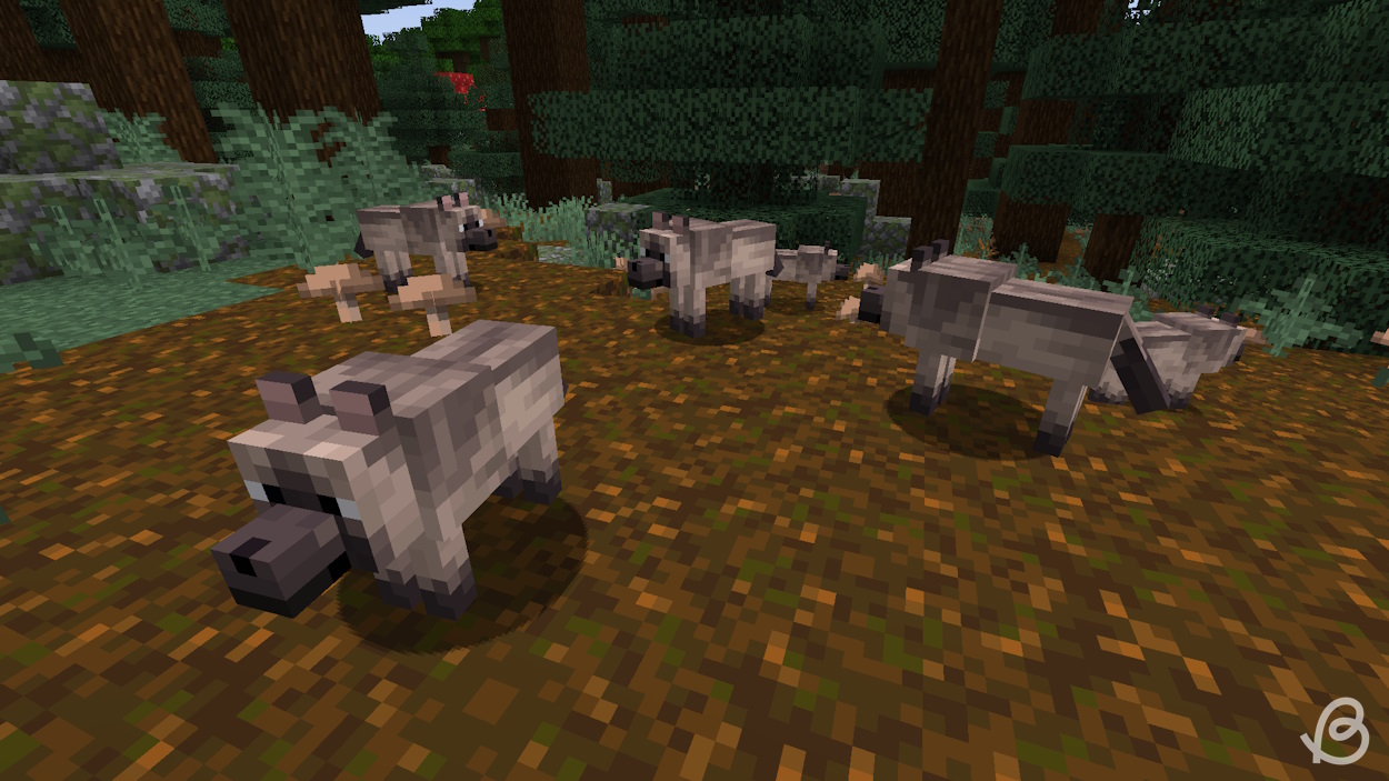All Wolf (Dog) Variants in Minecraft and Where to Find Them | Beebom