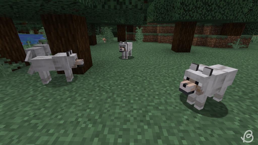 How to Tame a Wolf in Minecraft | Beebom
