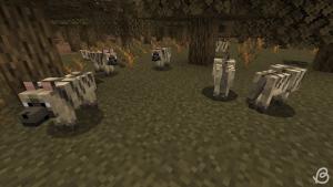 All Wolf (Dog) Variants in Minecraft and Where to Find Them | Beebom