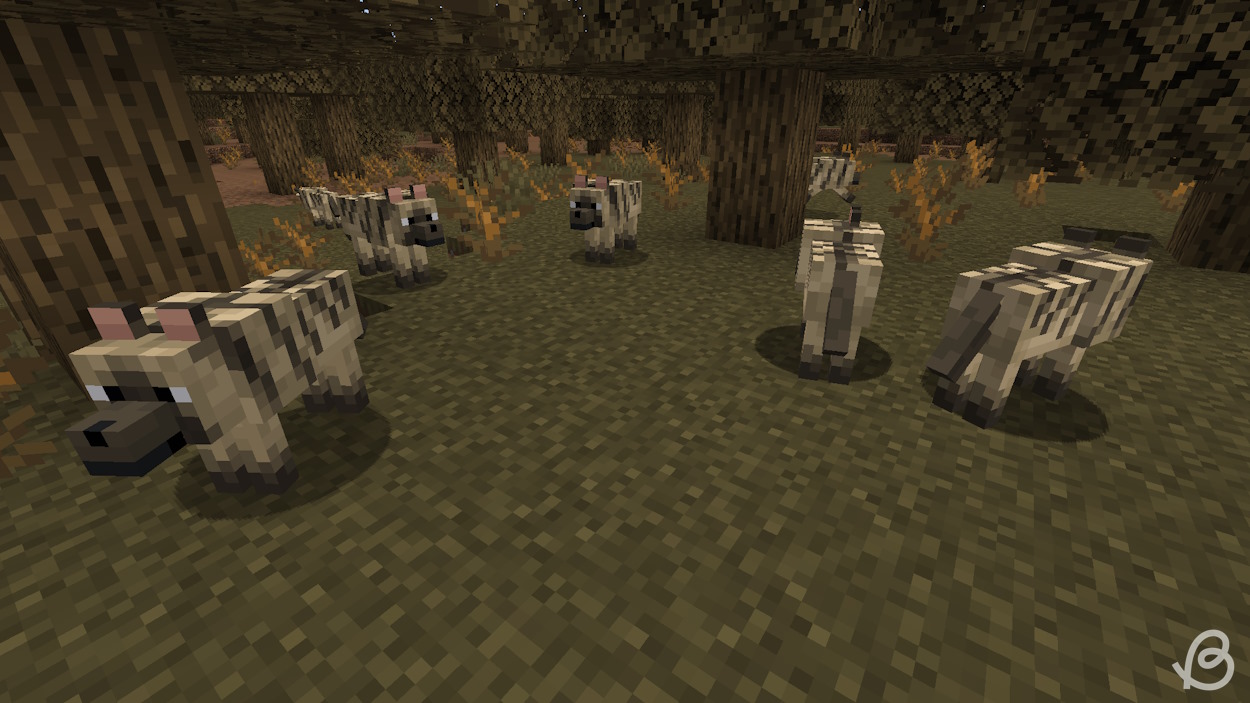 All Wolf (Dog) Variants in Minecraft and Where to Find Them | Beebom