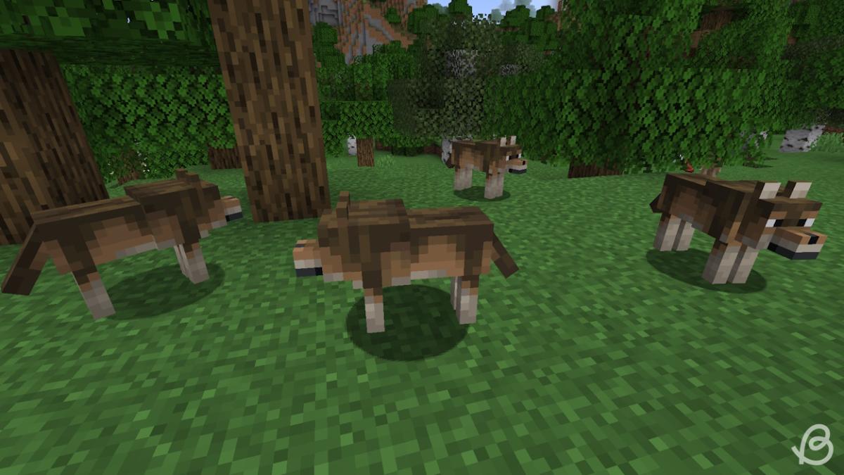All Wolf (Dog) Variants in Minecraft and Where to Find Them | Beebom