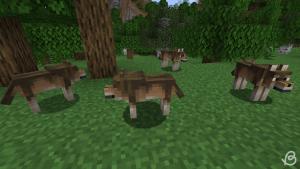 All Wolf (Dog) Variants in Minecraft and Where to Find Them | Beebom