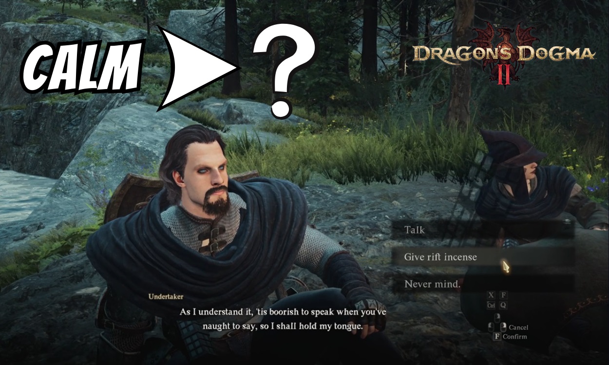 Dragon's Dogma 2 Pawn System Explained | Beebom
