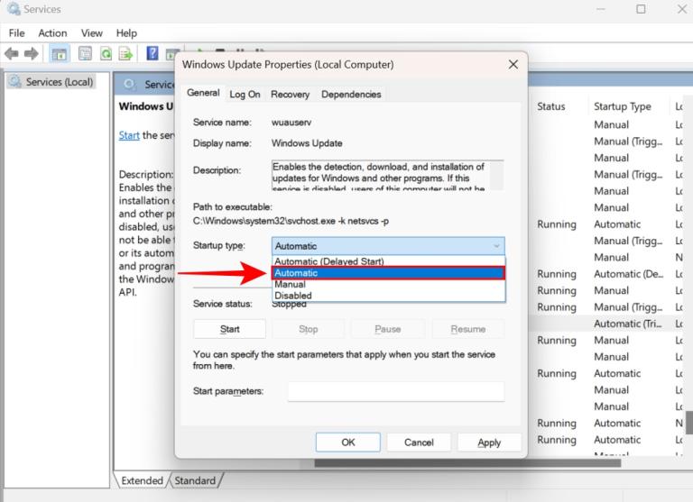 How to Fix Install Error 0x800f081f on Windows 11 | Beebom