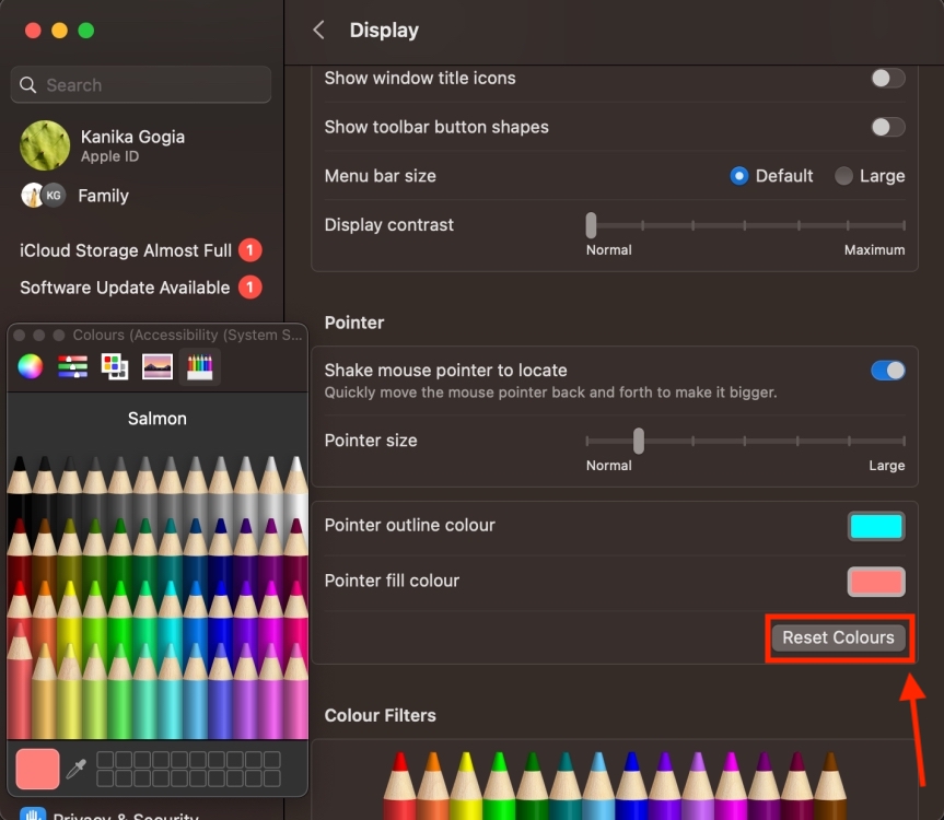 How to Change the Size and Color of Mac Pointer | Beebom