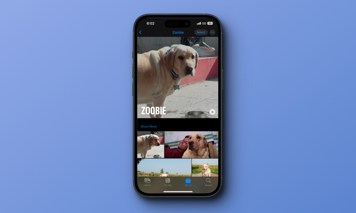 How to Tag Pets and People in Photos on iPhone | Beebom