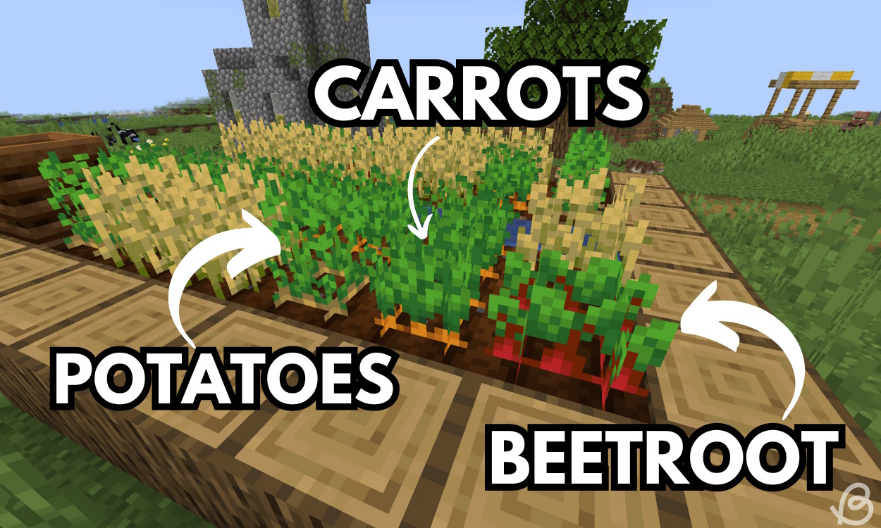 What Do Pigs Eat in Minecraft | Beebom